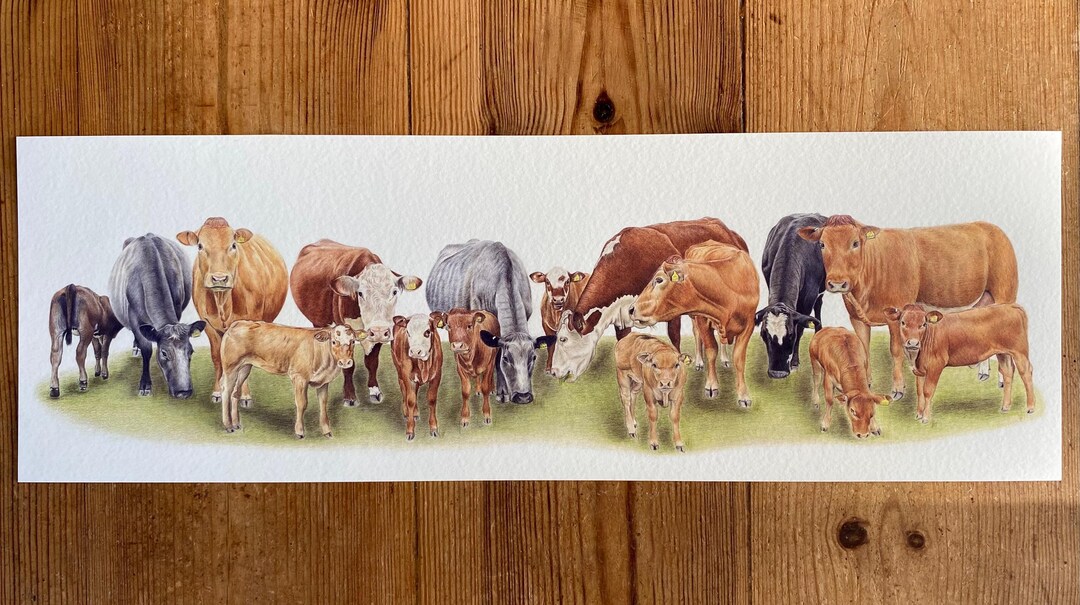 Grazin’ Squad - Limited Edition Giclee Panoramic Cow Print: Animal ...