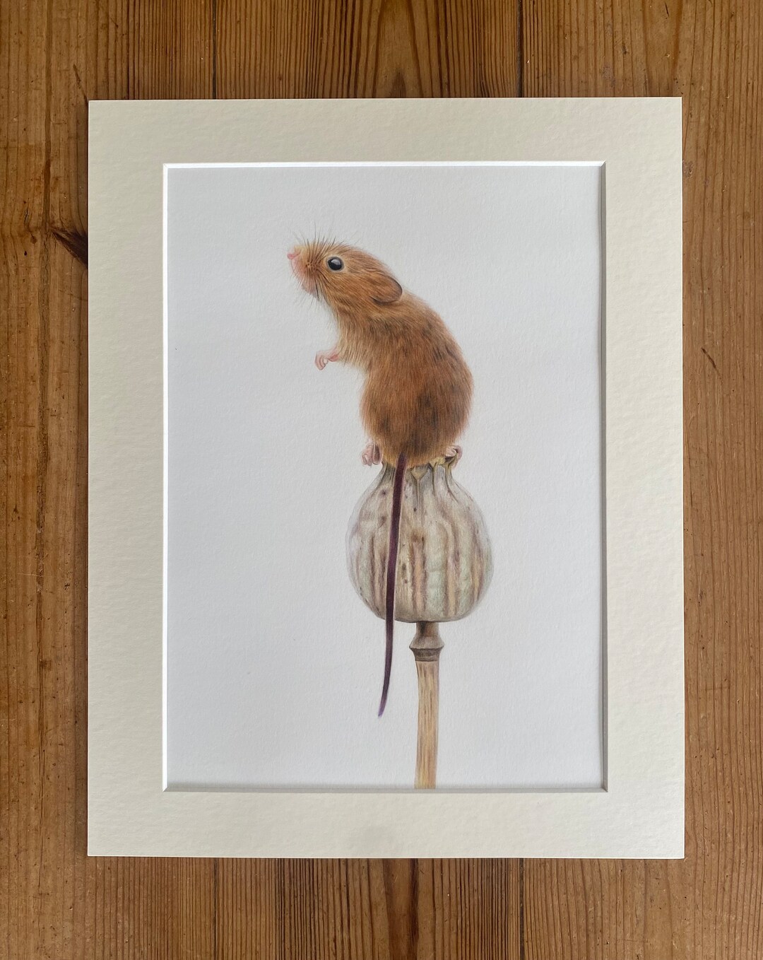 Poppies and Whiskers - Limited Edition Giclée Harvest Mouse Print ...