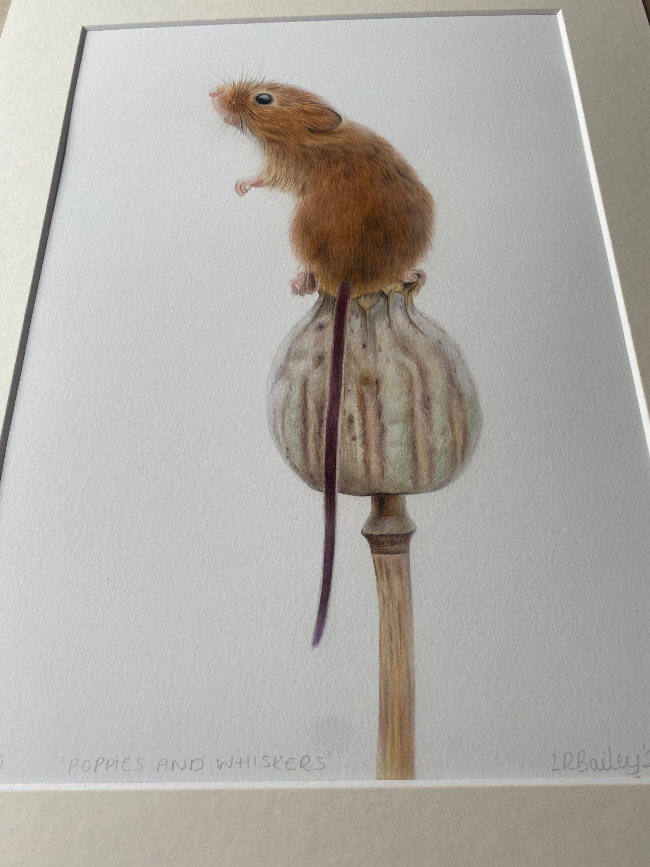 Poppies and Whiskers Limited Edition Giclée Harvest Mouse Print ...