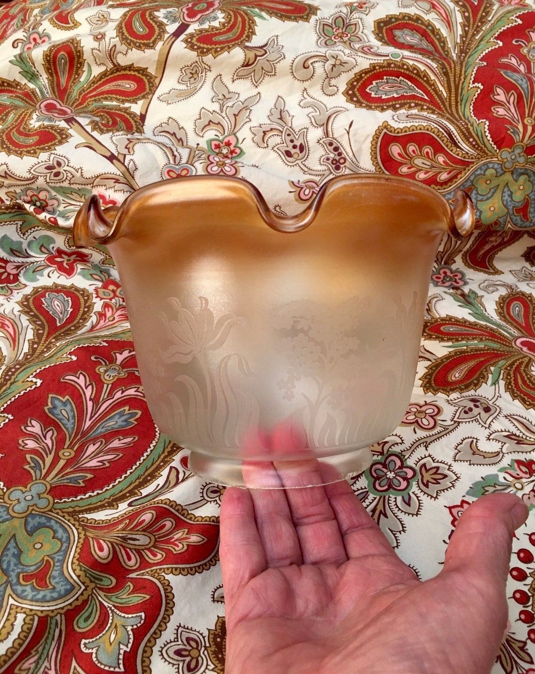 Vintage VIANNE Satin ETCHED Glass Light SHADE Floral Design Victorian ...