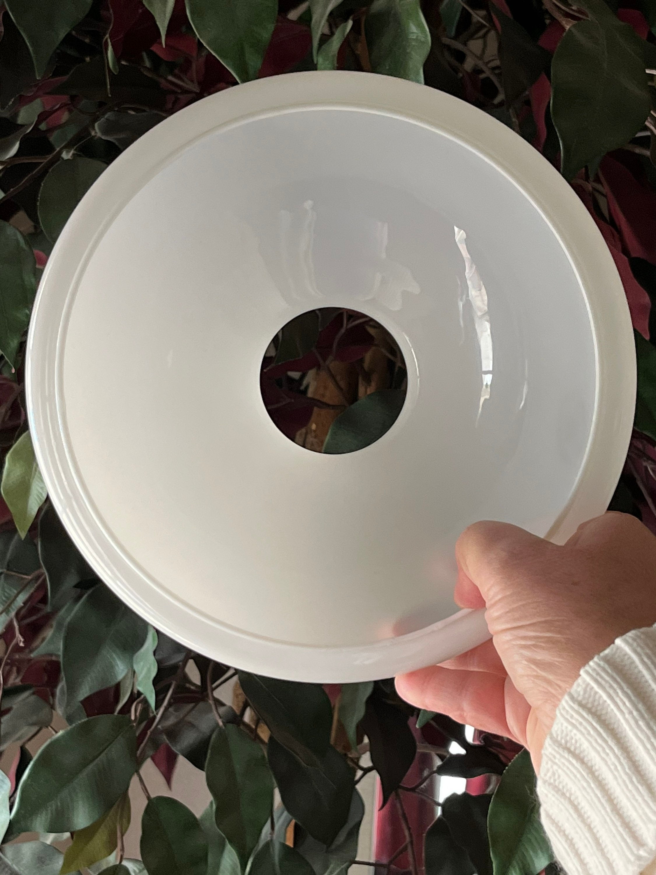 RARE Vintage VIANNE Glass Shade Mouth Blown NOS Replacement White Opal ...