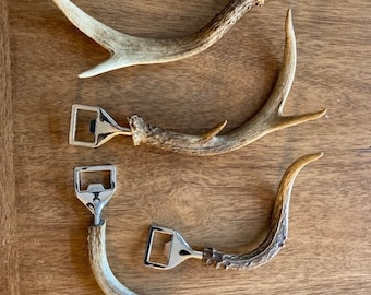 Wild 8 Point Whitetail Deer Cut off Antler Rattling Horn Unique ...