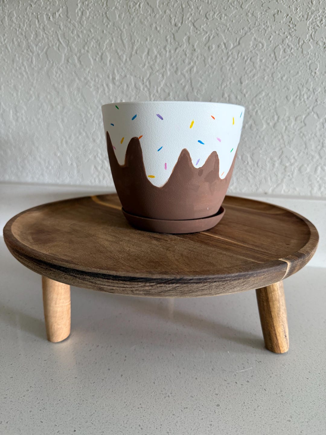 Donut Plant Pot - Etsy