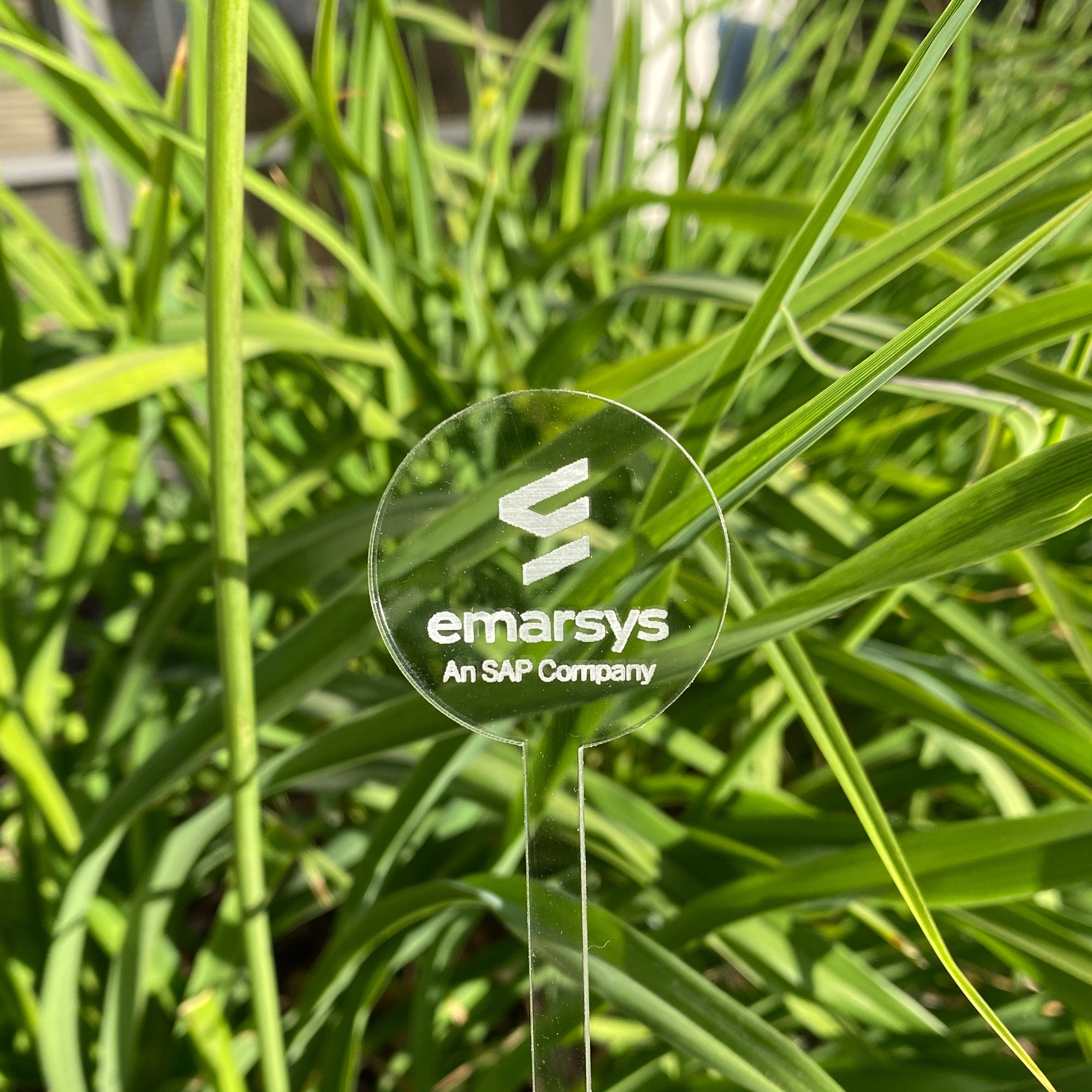 Custom Etched Logo Acrylic Stir Sticks set of 10 Ideal for - Etsy