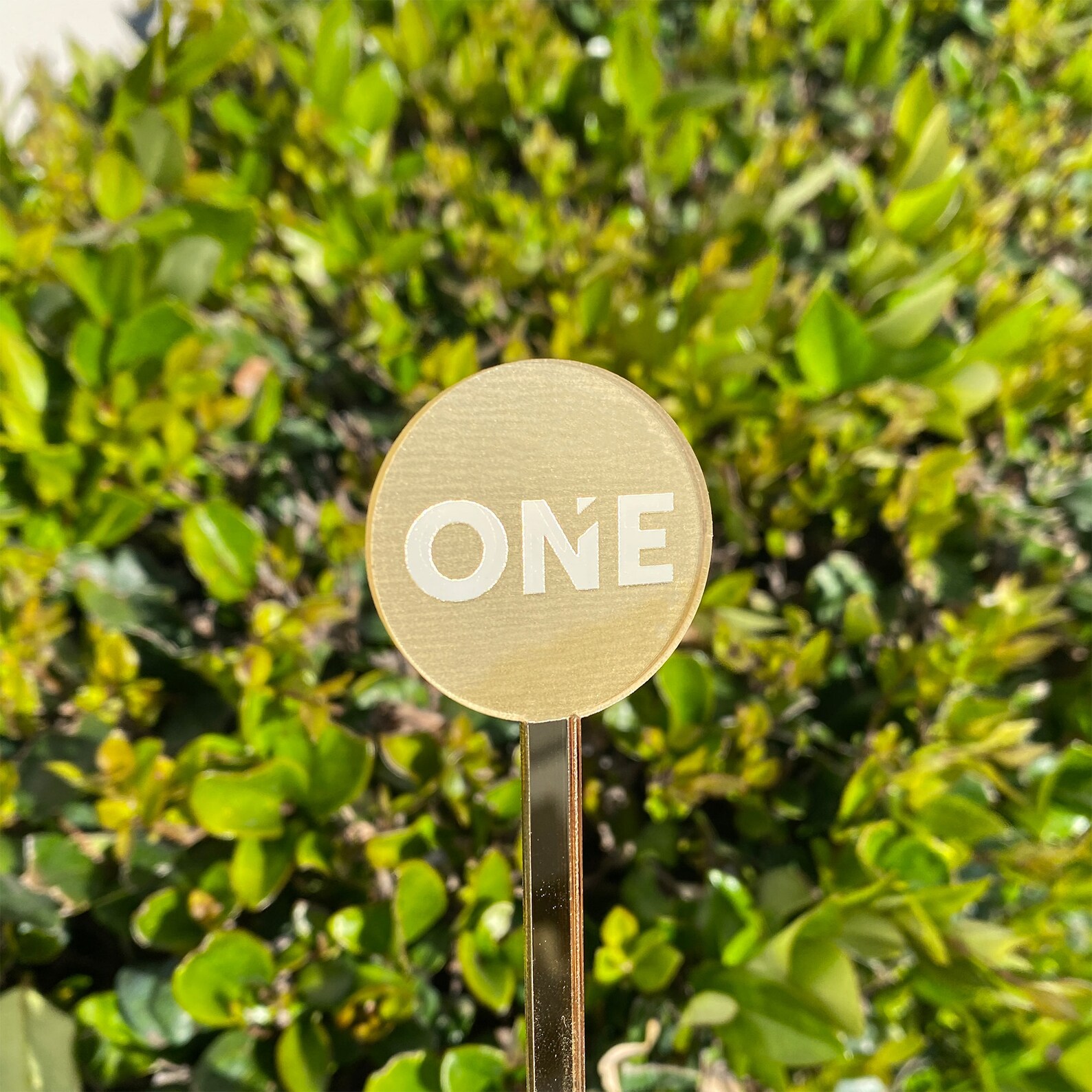 Custom Etched Logo Acrylic Stir Sticks set of 10 Ideal for - Etsy