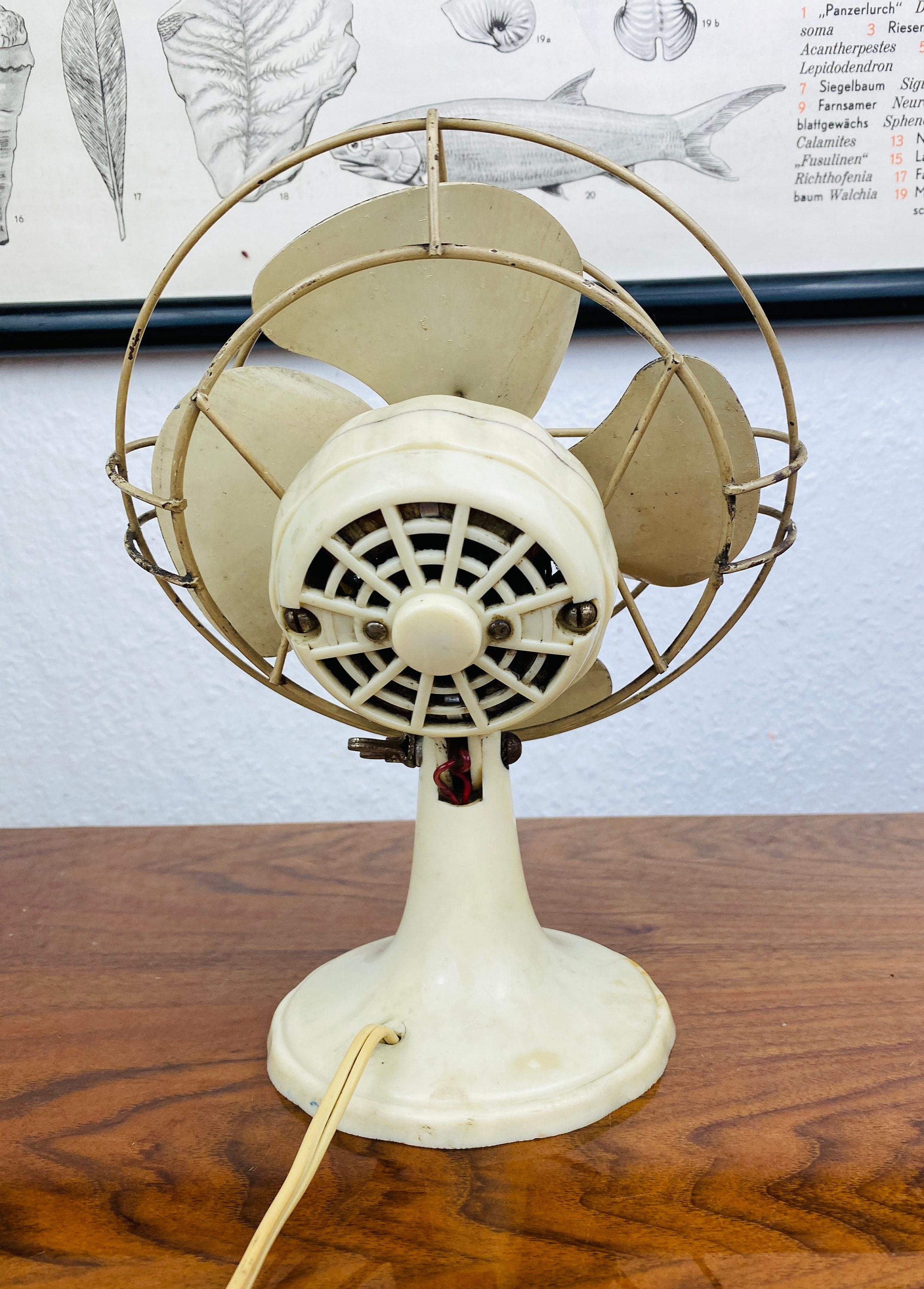 French Fan CALOR Mid Century Fan Swivel Fan French Industrial Design of ...