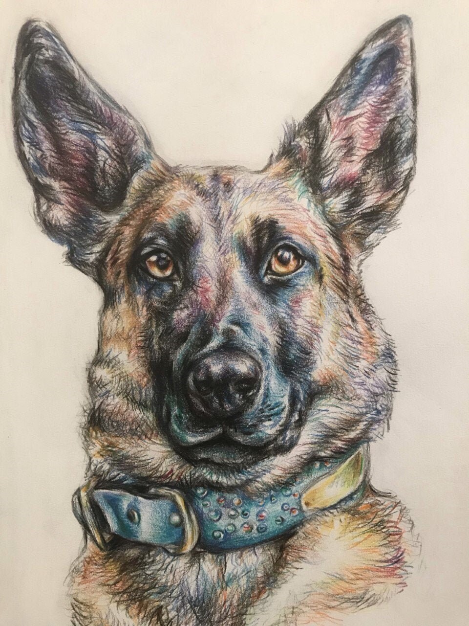 COLORED PENCIL SKETCH Dog Portrait Customized Pet Portrait Custom Pet ...