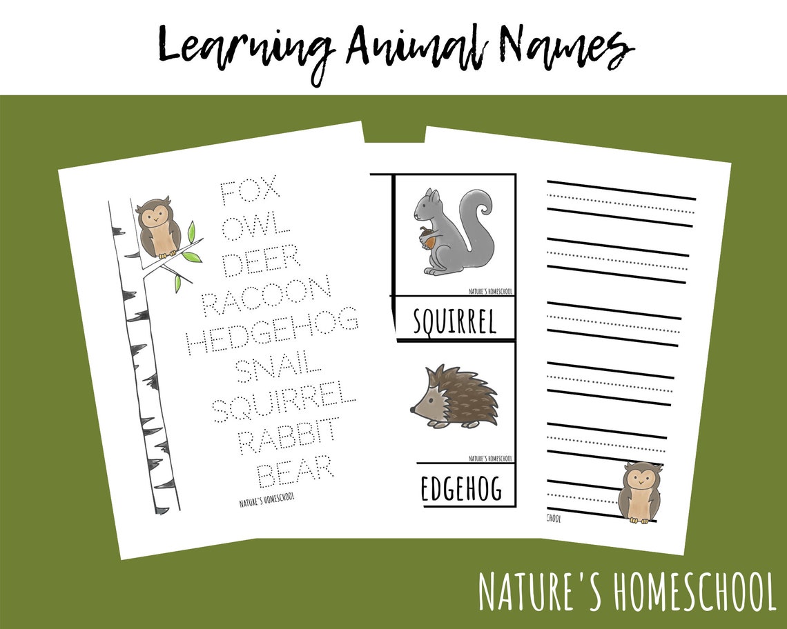 Beginning Sounds in Nature Homeschool Printables for Reading and ...