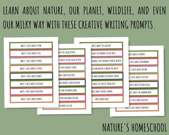 Solar System Creative Writing