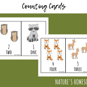 Counting Cards 1-10 Nature / Forest Themed Preschool - Etsy