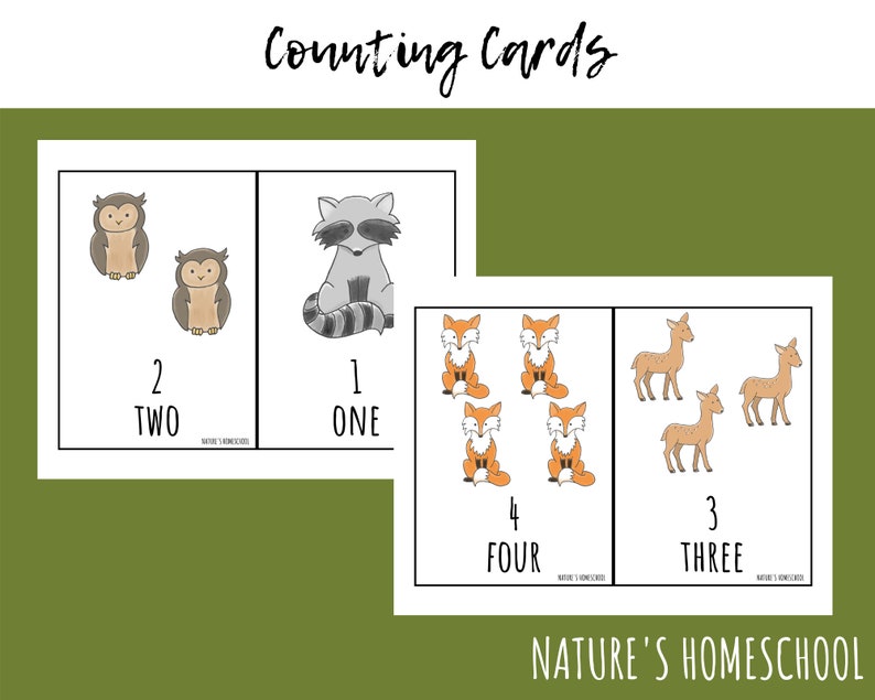Counting Cards 1-10 Nature / Forest Themed Preschool - Etsy