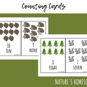 Counting Cards 1-10 Nature / Forest Themed Preschool - Etsy