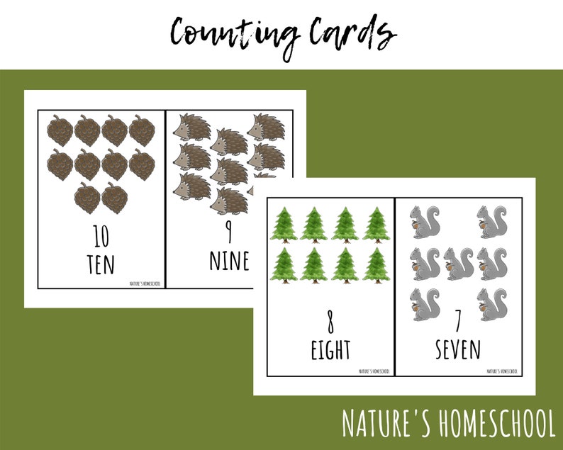 Counting Cards 1-10 Nature / Forest Themed Preschool - Etsy