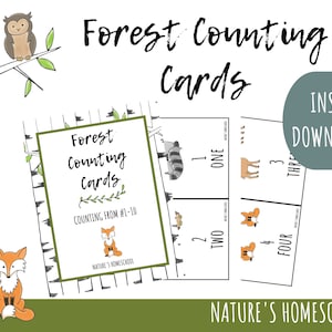 Counting Cards 1-10 Nature / Forest Themed Preschool - Etsy