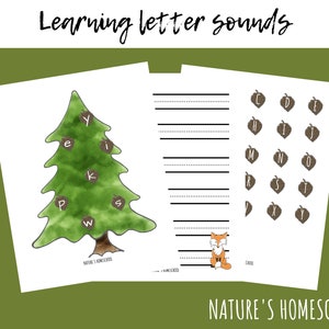 Beginning Sounds in Nature Homeschool Printables for Reading and ...