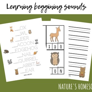 Beginning Sounds in Nature Homeschool Printables for Reading and ...