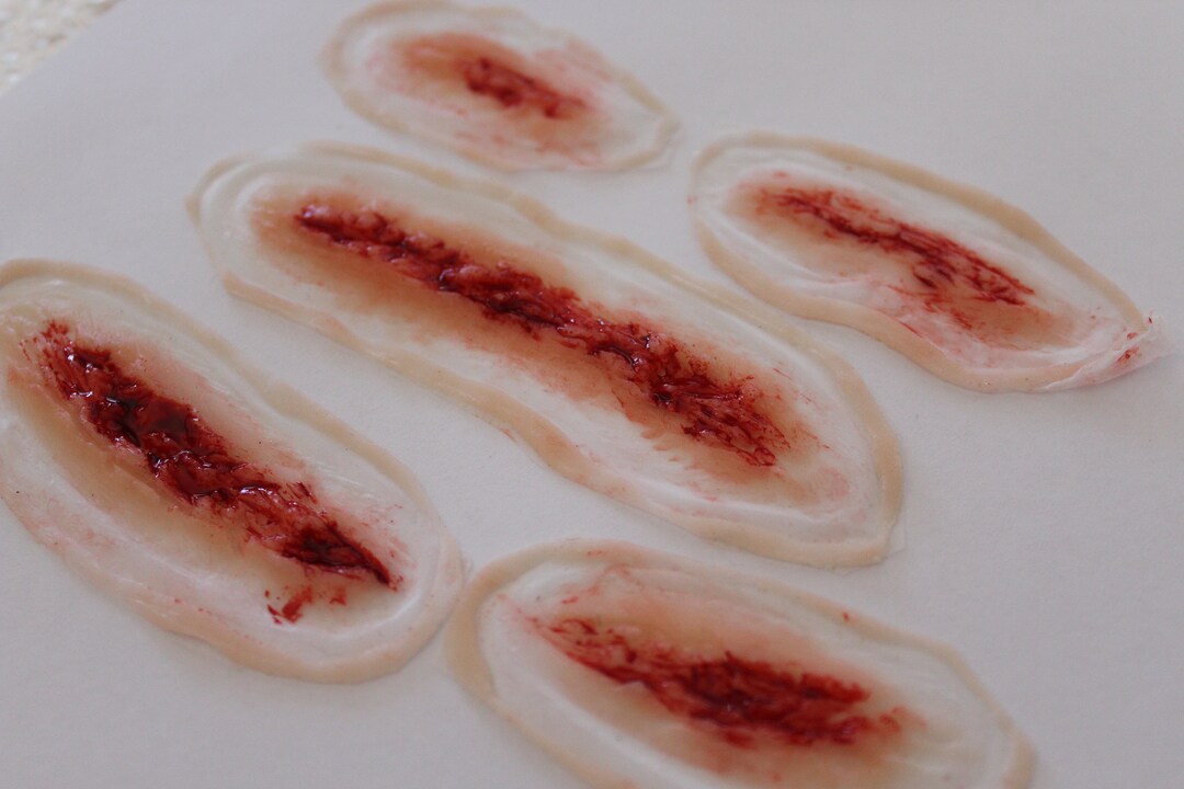 5x Set of Small Slashed Cut Wounds Bundle Silicone Prosthetic for Film ...