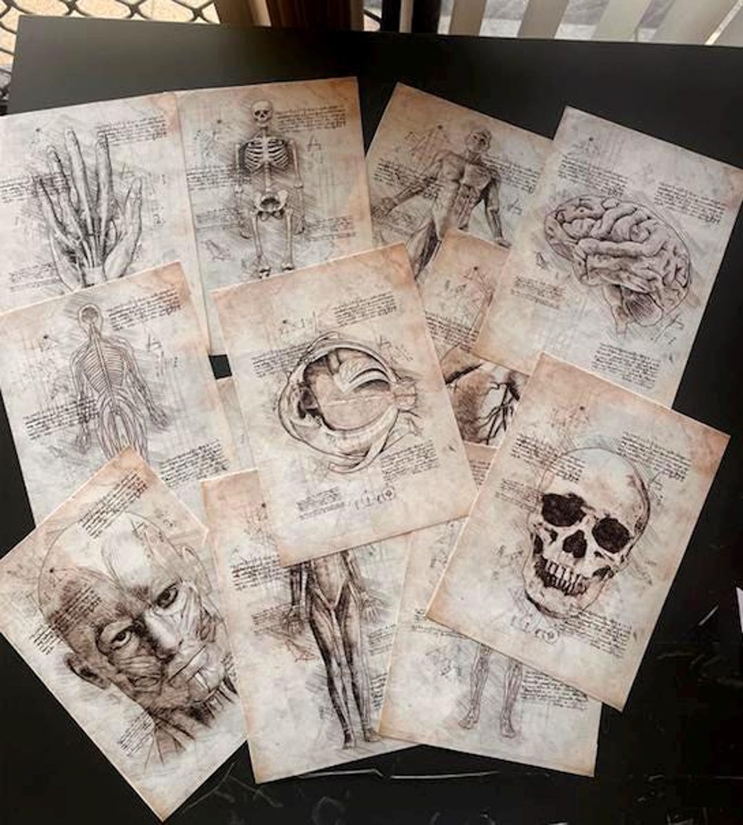 A5 Vintage Mesh Canvas Style Medical Anatomy Charts Greys Frame Human ...