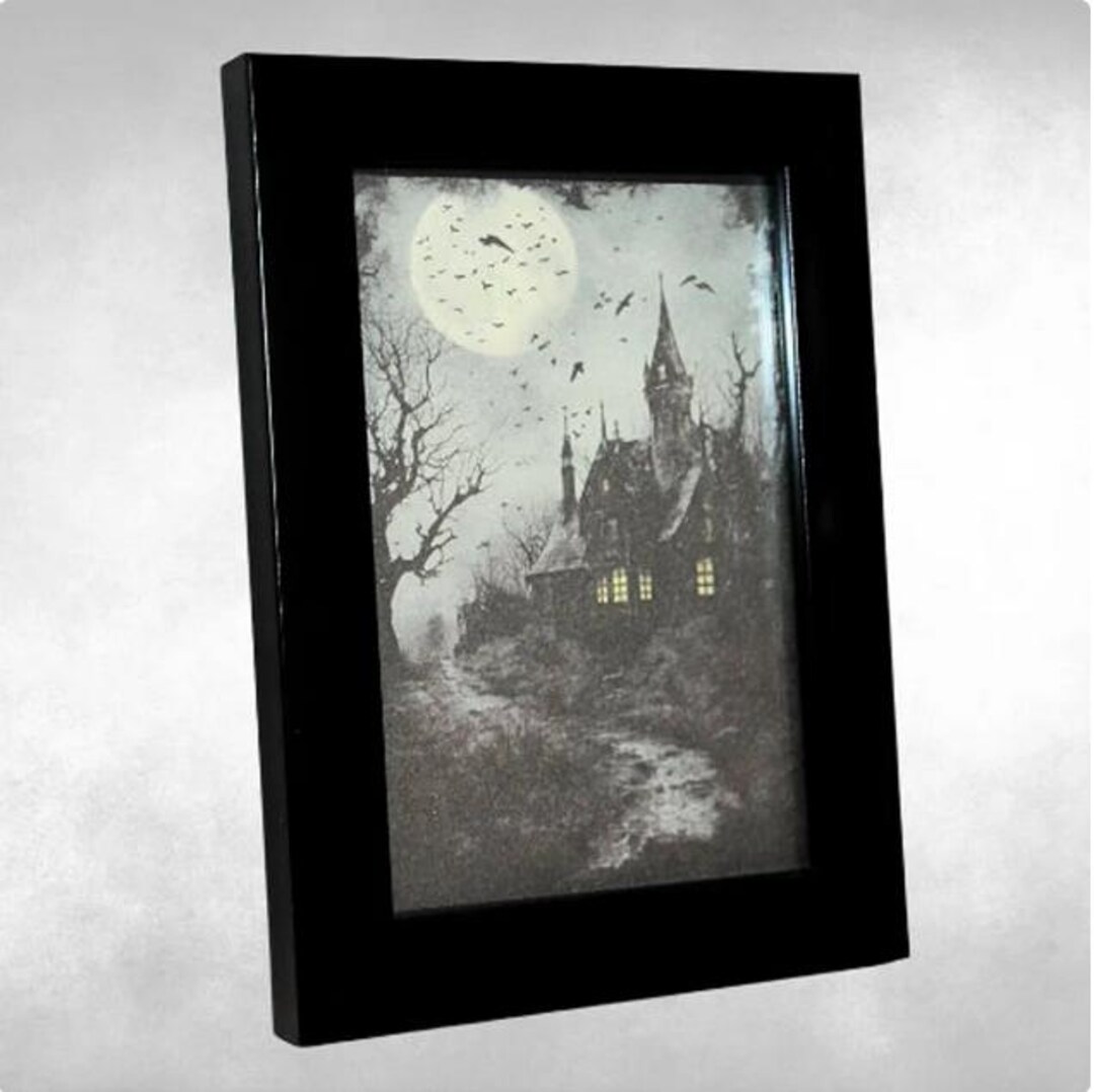 Morbid Haunted House Photograph Frame Witch Autopsy, Surgery Taxidermy ...