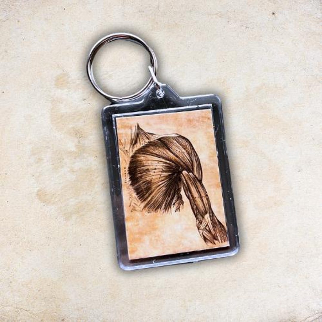 Greys Anatomy Arm Muscles Keyring Tag Medicine Bookmark Brown Paper ...