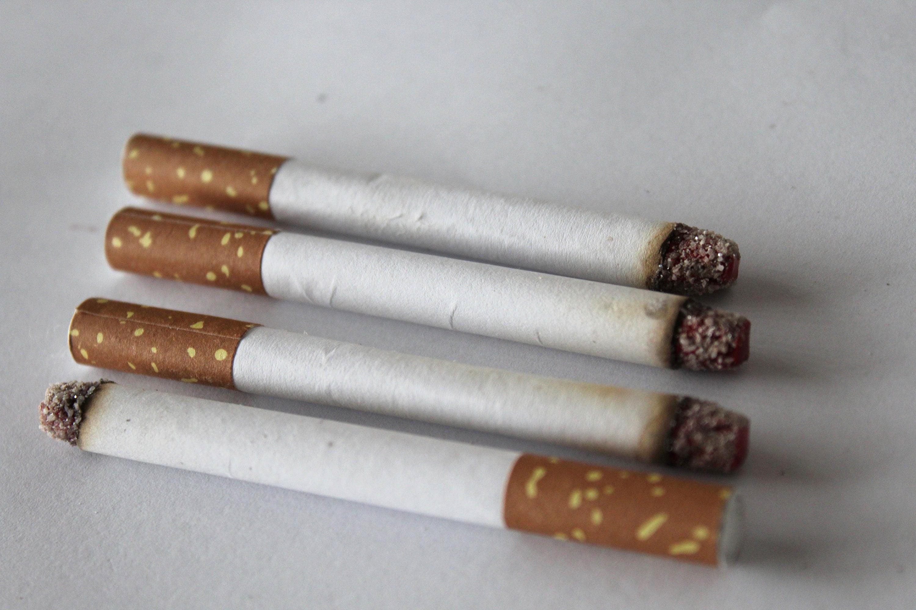 Fake Cigarette Props for Film TV Halloween Special Effects Makeup Cigar ...
