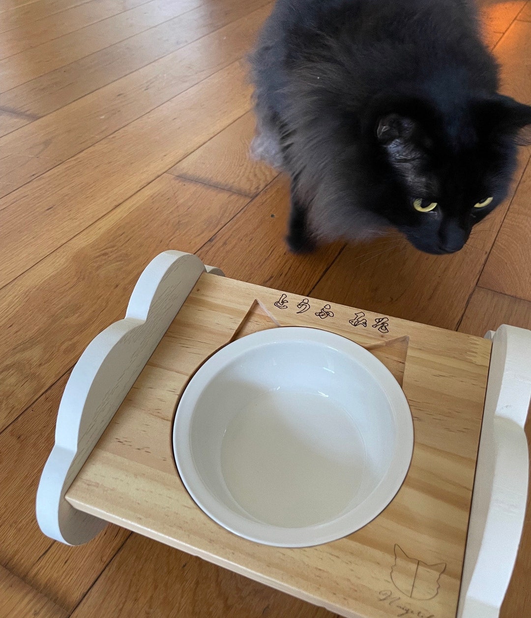 Personalized Pet Bowl, Engraved Small Cat Bowls, Engraved Pet Bowl ...