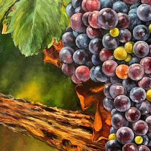 Grapevine Bunch of Grapes Art Painting Grapes Oil Painting Art Original ...