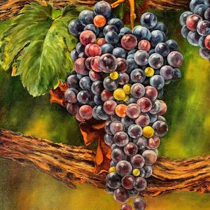 Grapevine Bunch of Grapes Art Painting Grapes Oil Painting Art Original ...