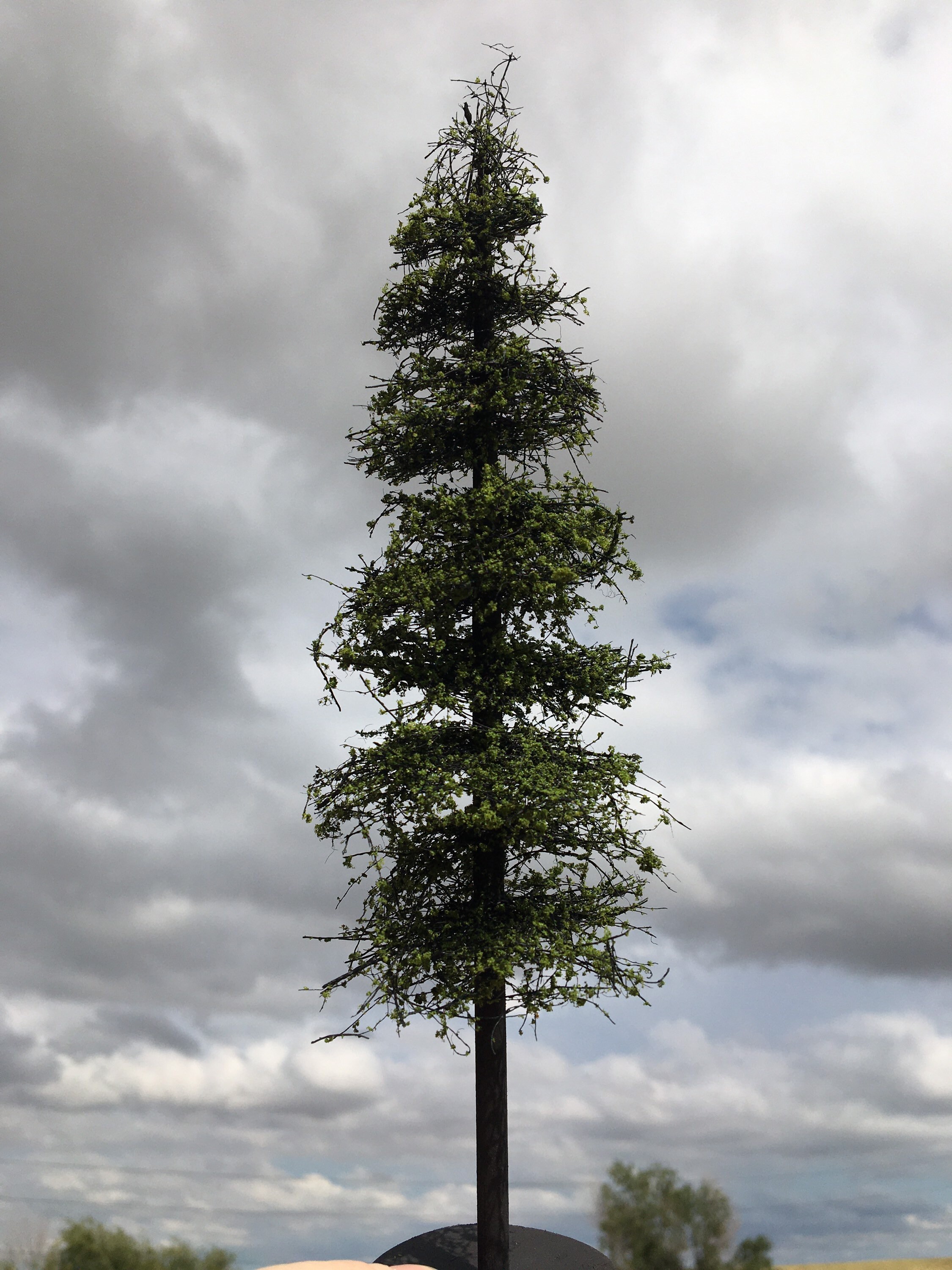 10 Pine Tree Evergreen Model - Etsy