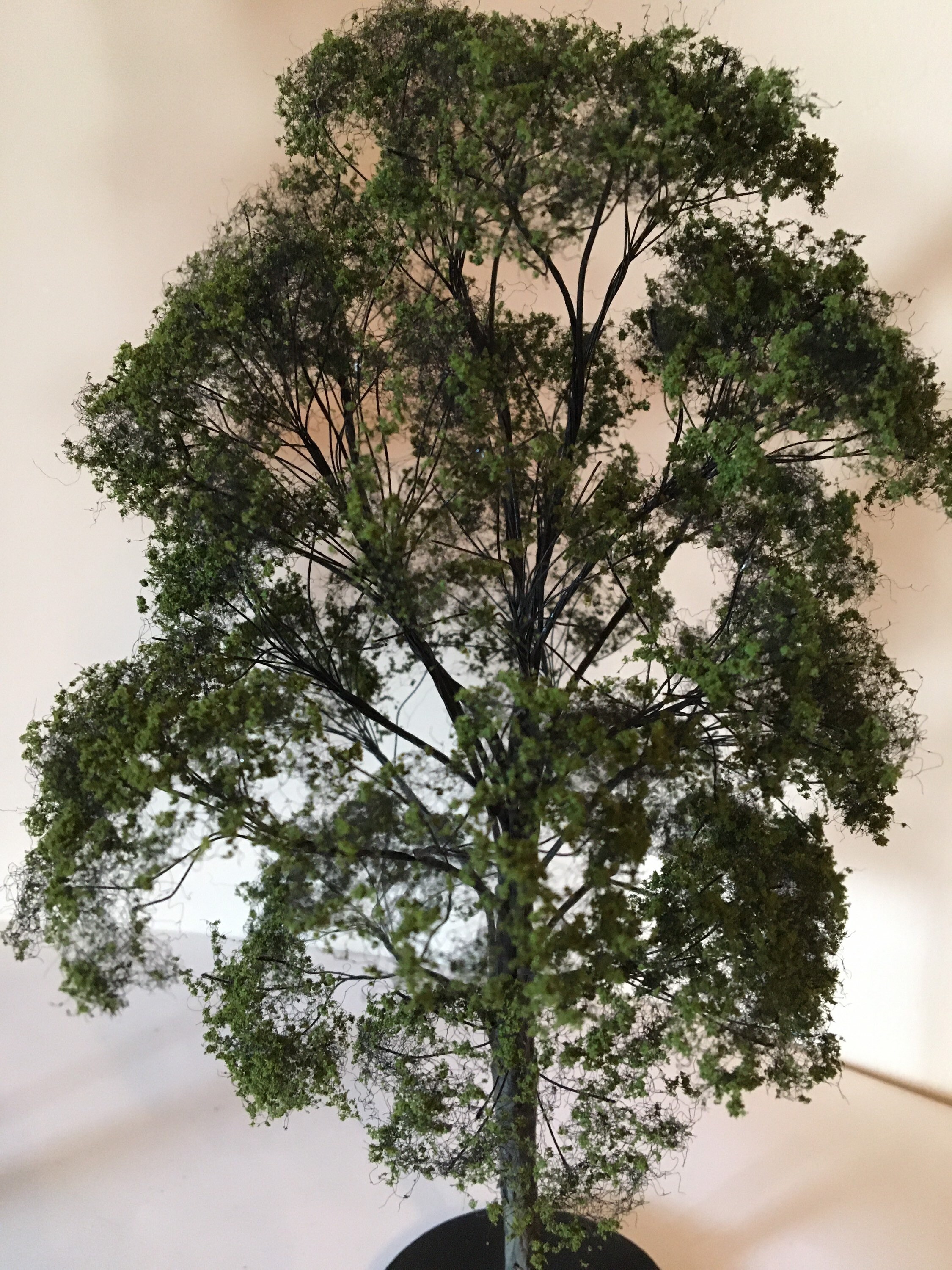 Model Tree 10 Tall - Etsy