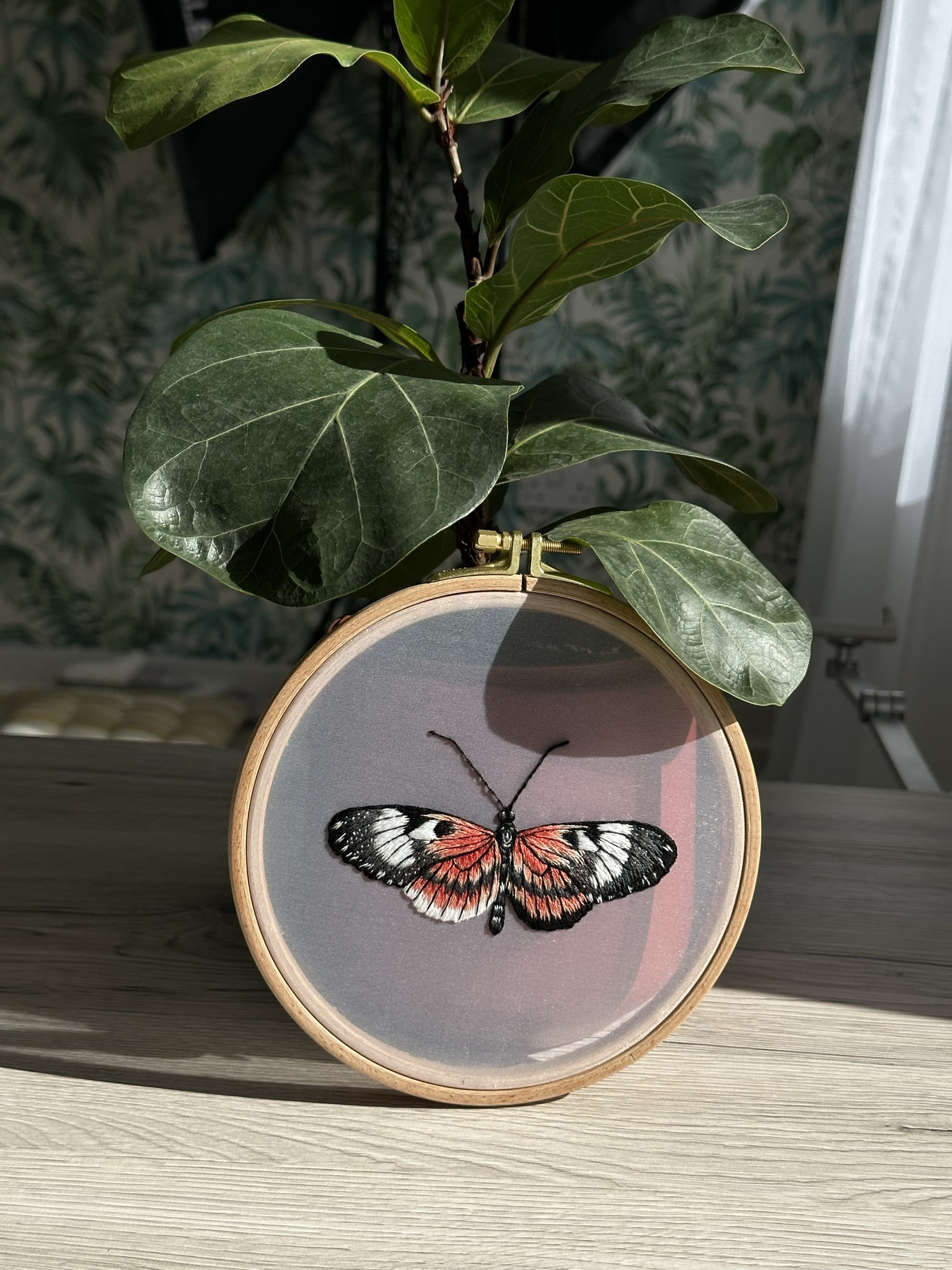 Doris Longwing Translucent Hoop Art, Polyester Organza Butterfly Decor ...