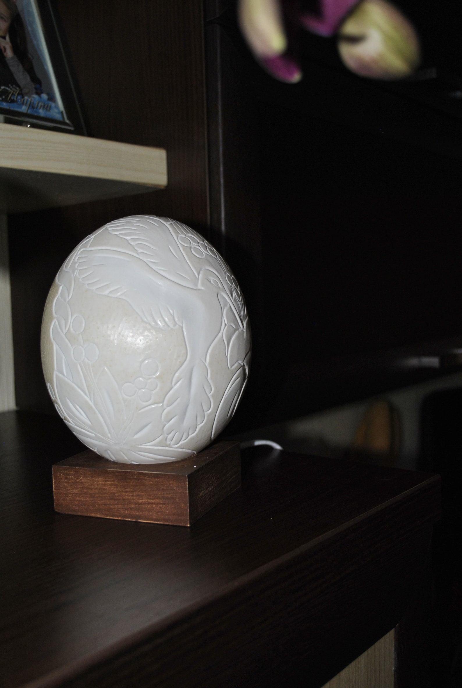 Ostrich Egg Lamp Souvenir Lighting Fixture Present Exclusive Night ...