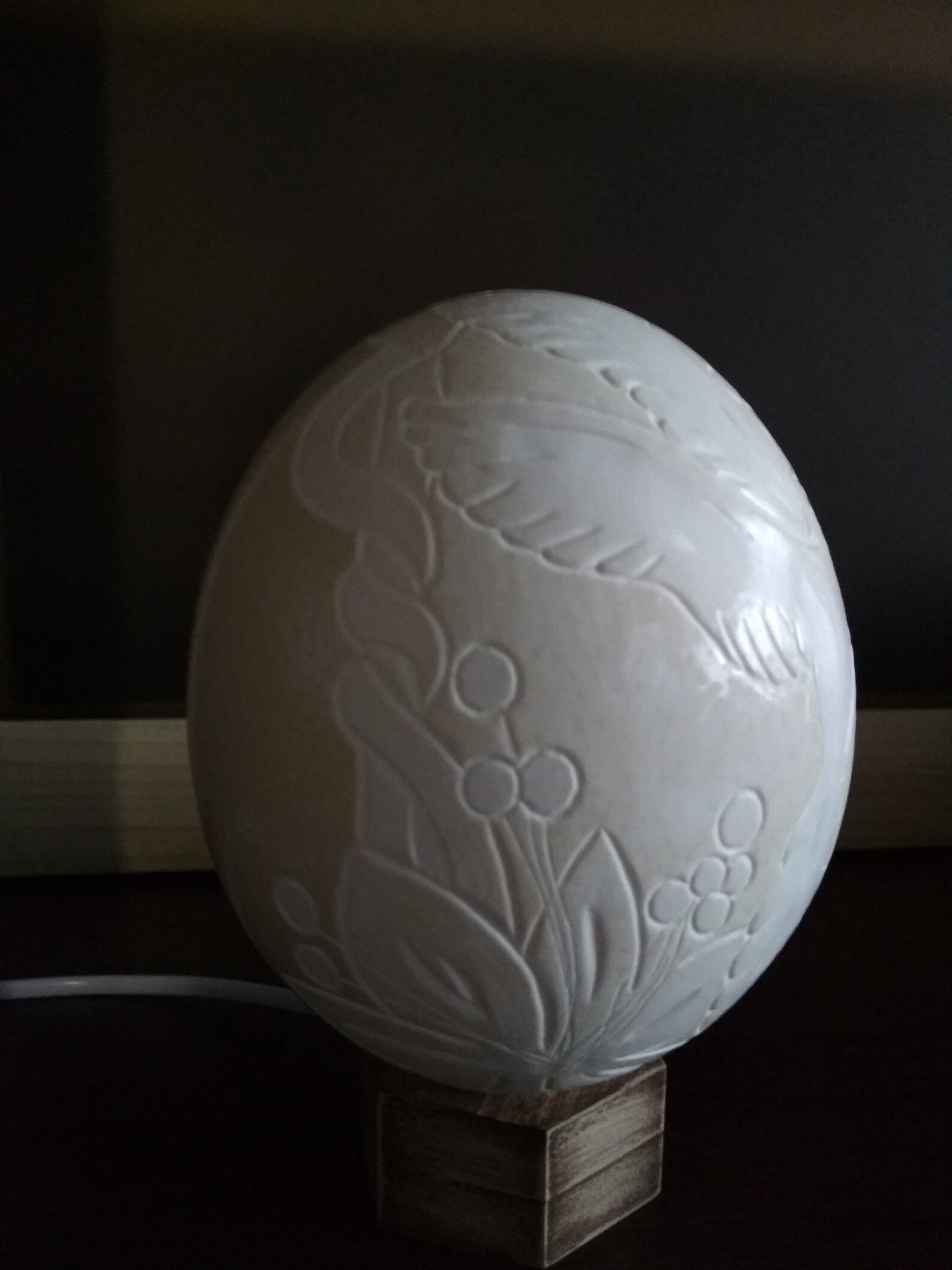 Ostrich Egg Lamp Souvenir Lighting Fixture Present Exclusive Night ...