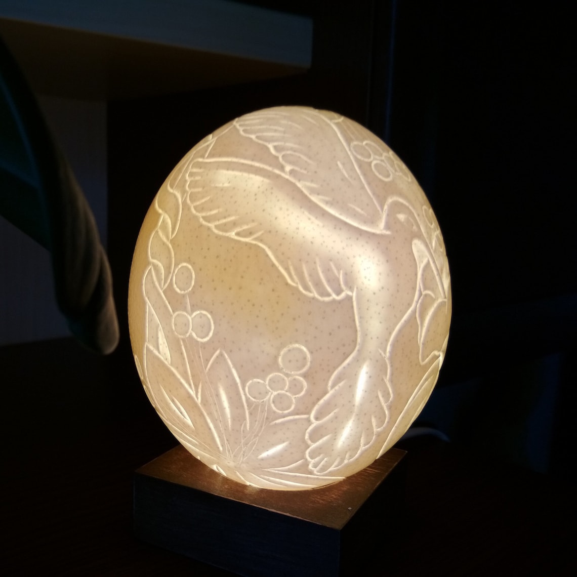 Ostrich egg Lamp Souvenir Lighting fixture Present Exclusive | Etsy