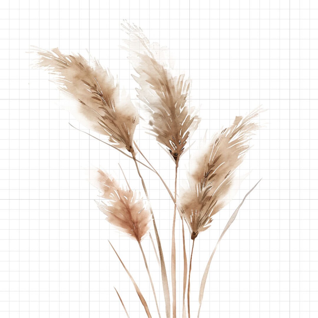 Pampas Grass Clipart, Pampas Grass Clip Art, Pampas, Transparent PNG ...