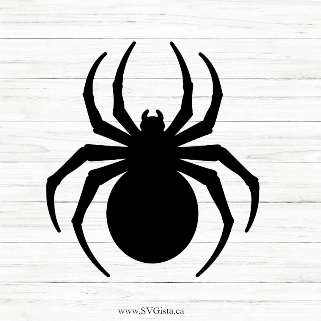 Spider Svg, Svg Files, Svg Files for Cricut, Svg Cricut, Svg Images ...