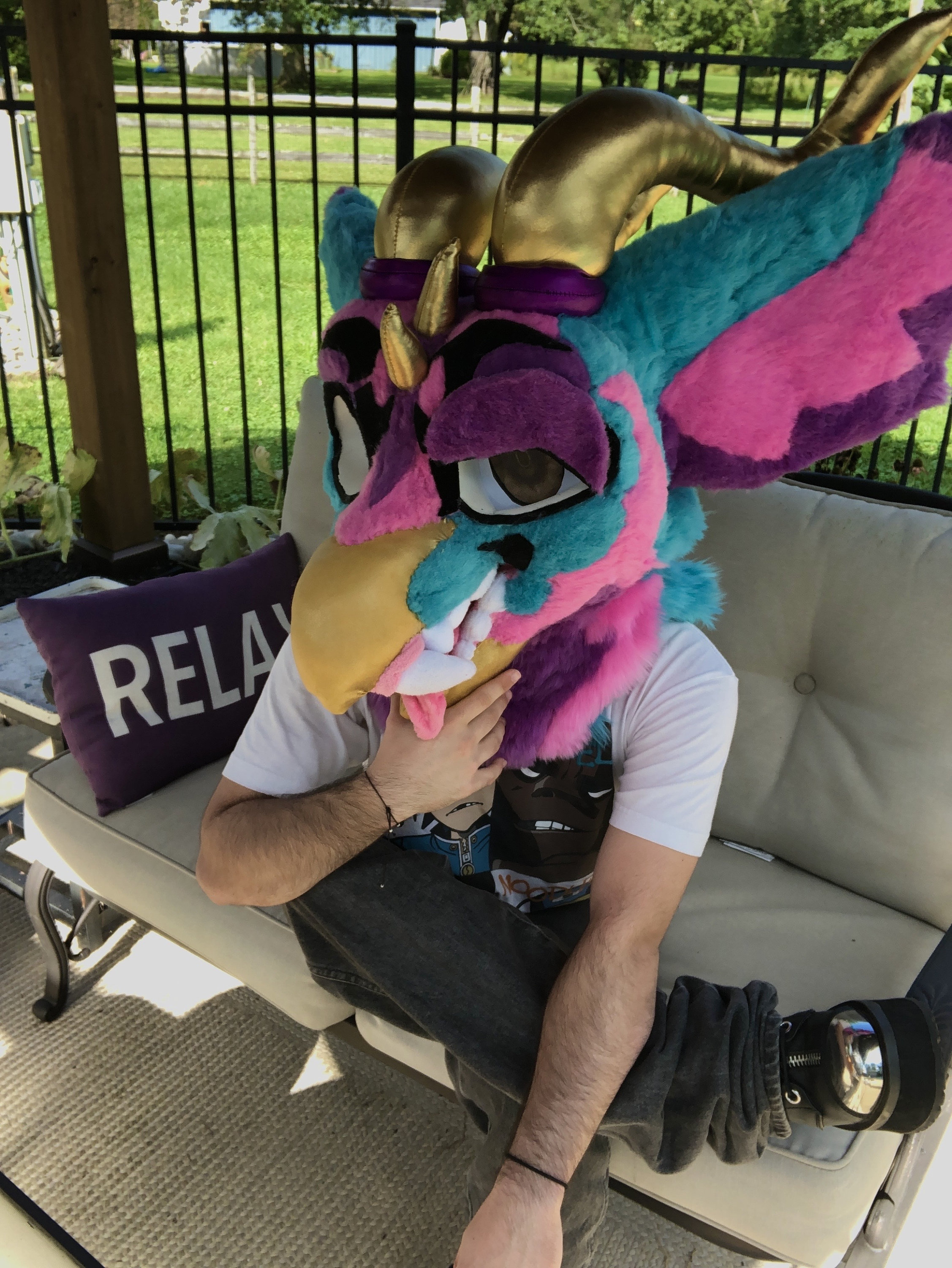 Discounted Griffon Bird Fursuit - Etsy