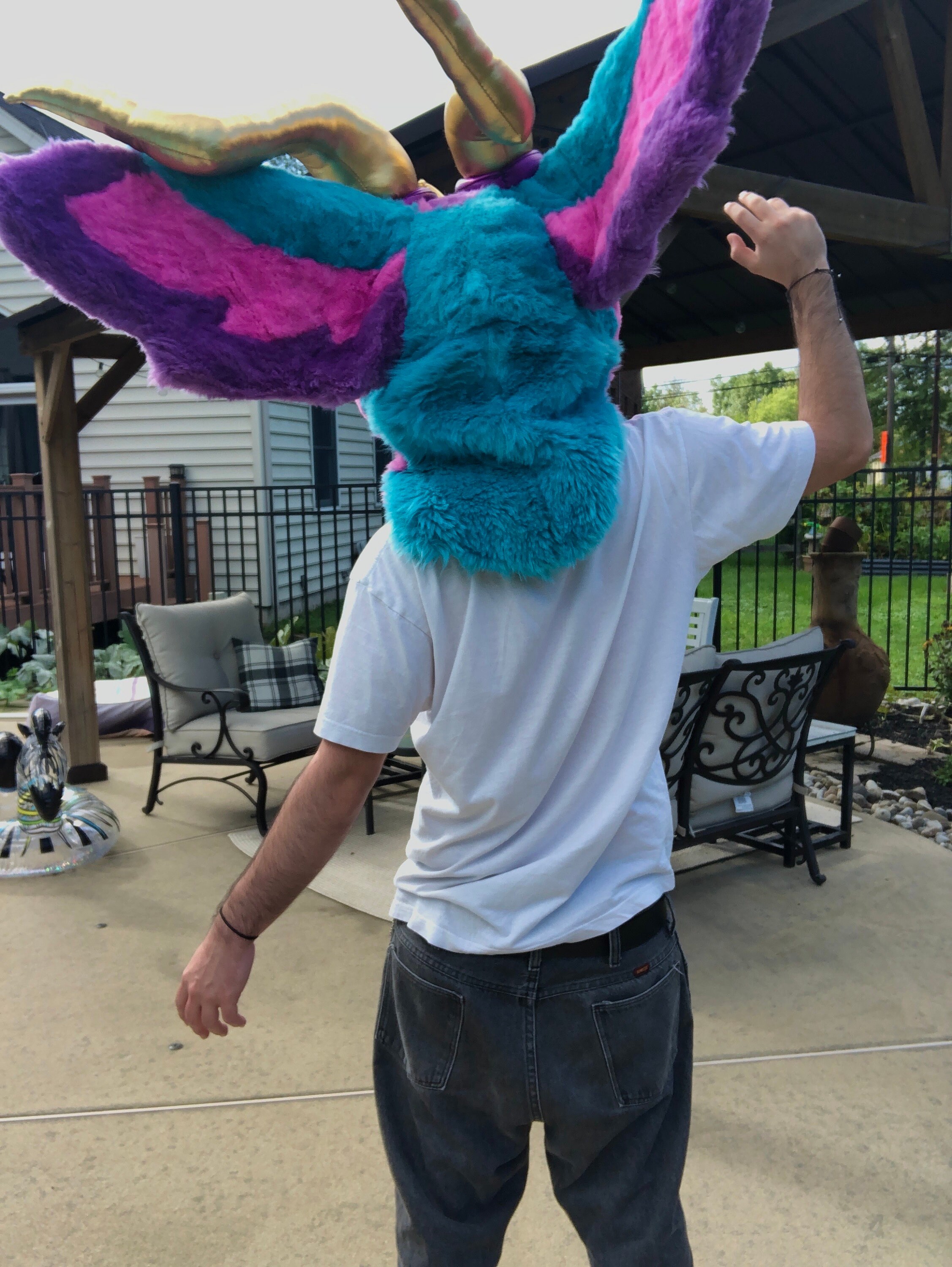 Discounted Griffon Bird Fursuit - Etsy