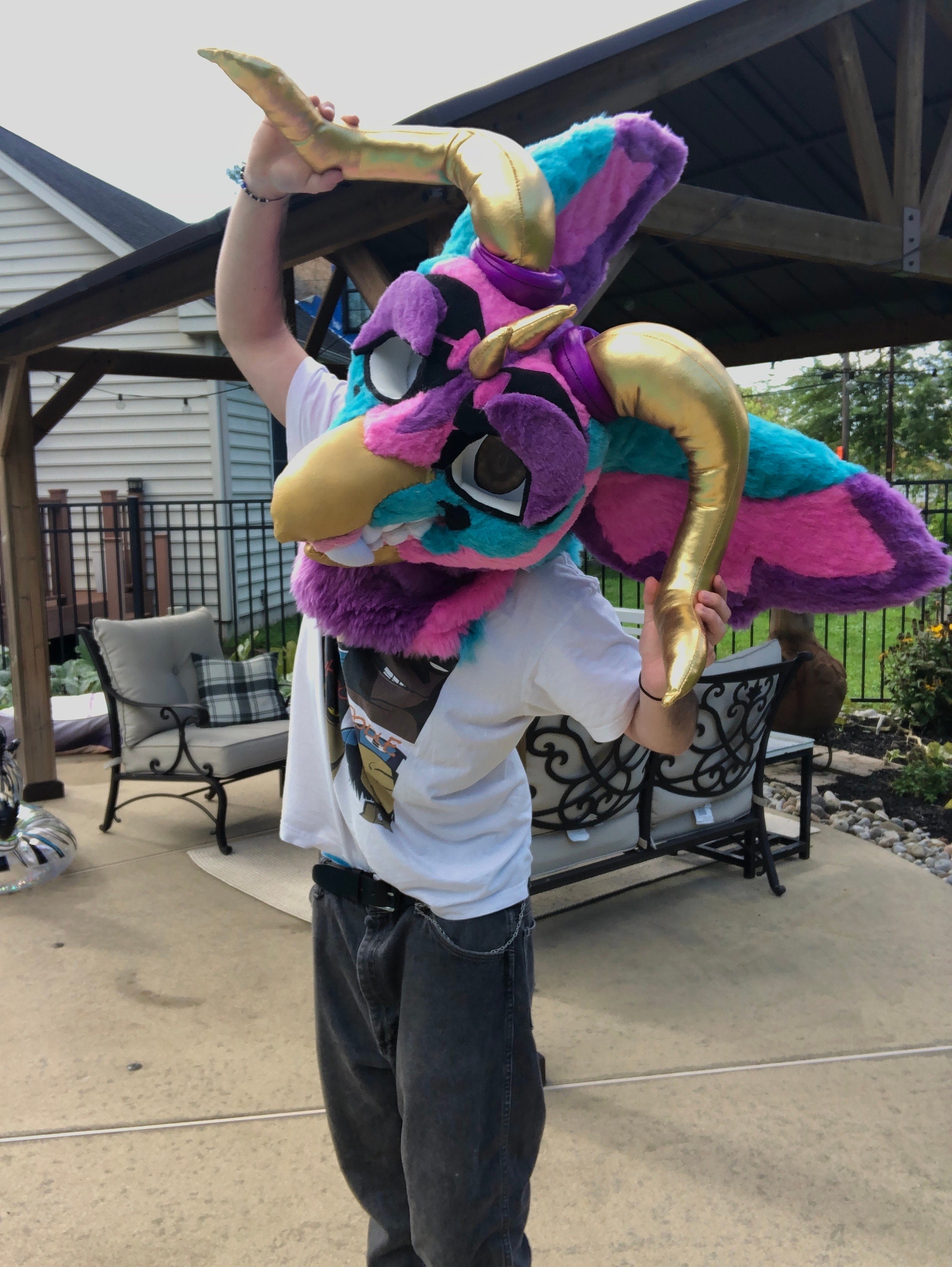 Discounted Griffon Bird Fursuit - Etsy