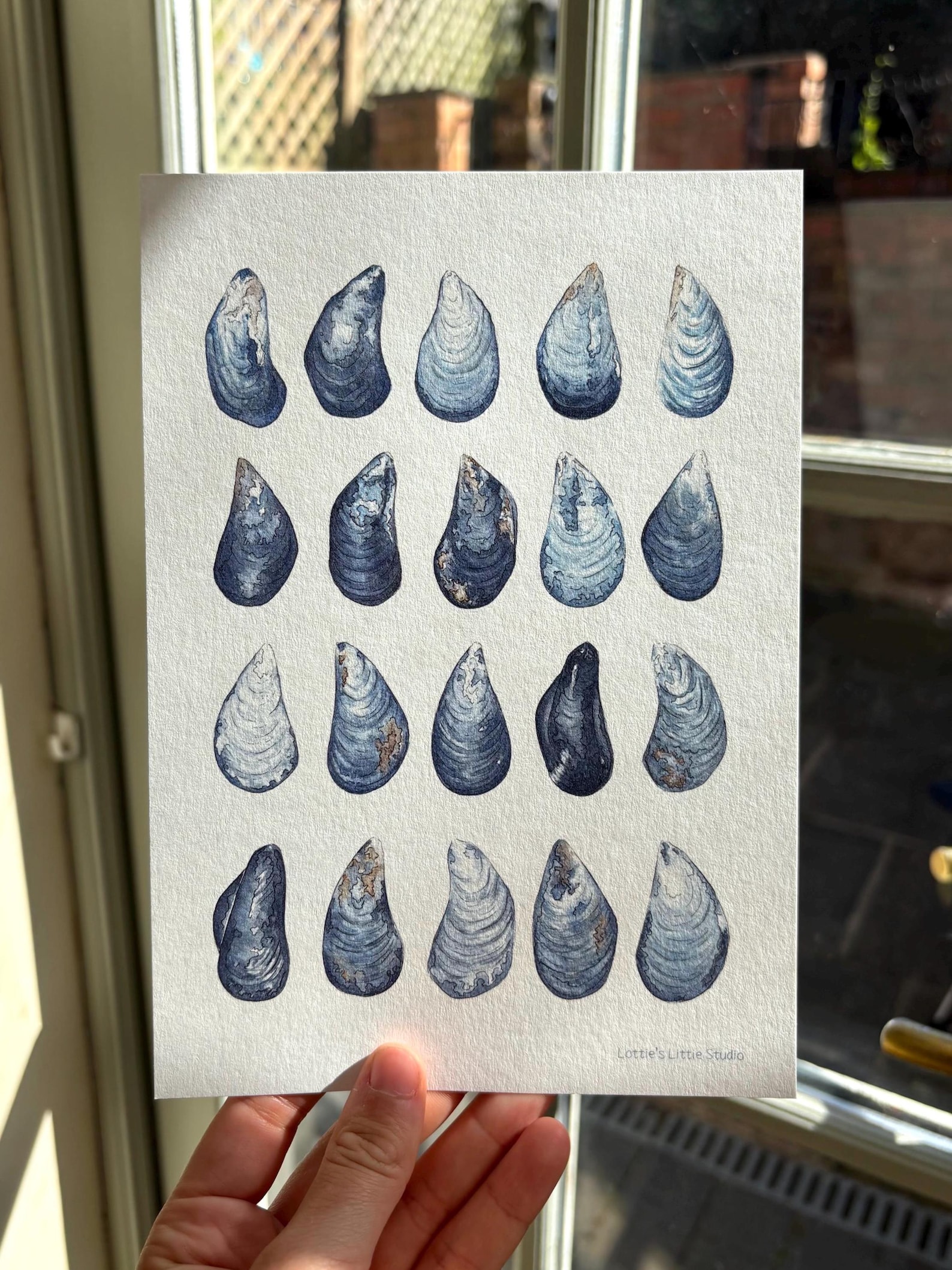 Mussel Shells - Original Watercolour Print - A5 - Etsy