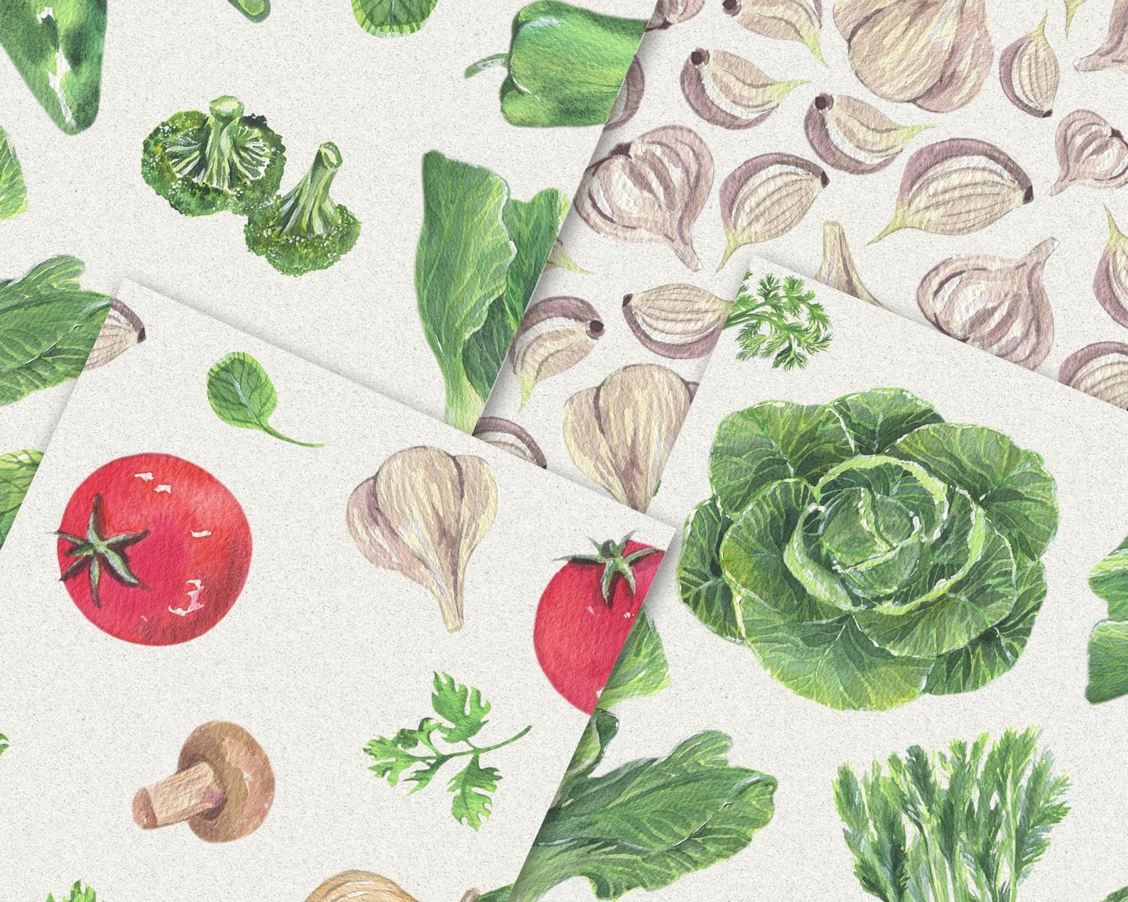 Vegetable Digital Paper Pack With Watercolor Vegetables & Herbs ...
