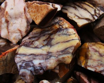 Zebra Jasper Rough - Etsy