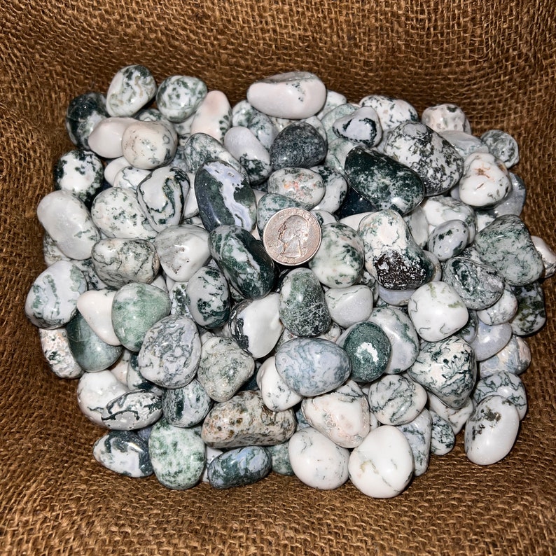 Big Sale!! 1000 Carat Lots of Green Tree Agate TUMBLED POLISHED ...