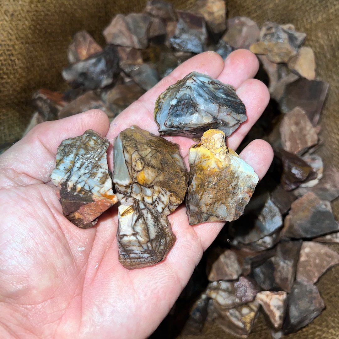 Summer Sale 500 Carat Lots of Panther Jasper Rough a Free Faceted ...