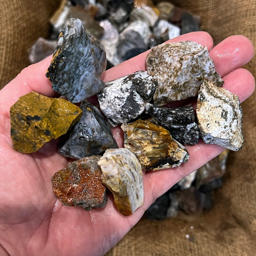 Summer Sale 500 Carat Lots of Ocean Jasper Rough a Free - Etsy