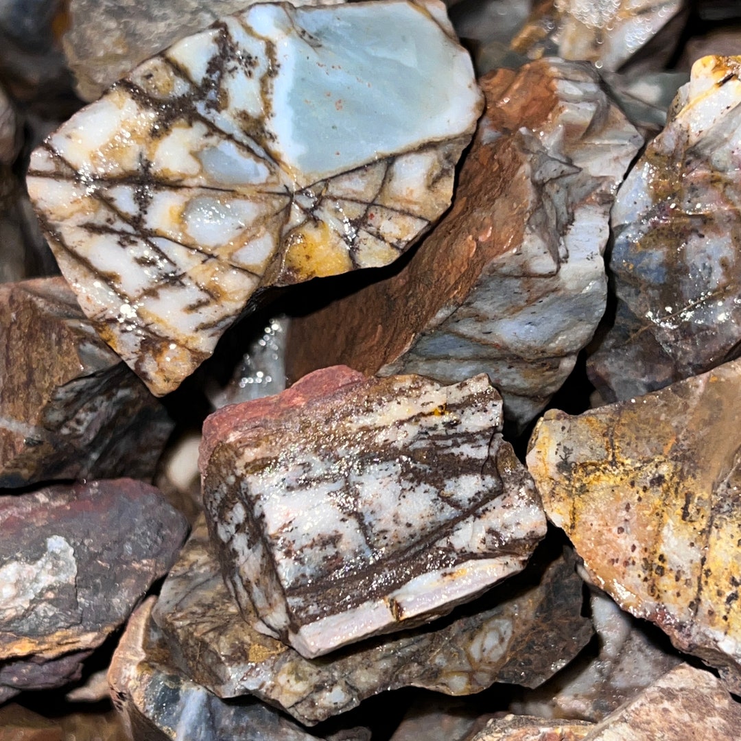 Big Sale!! 1000 Carat Lots of Panther Jasper Rough + a Free Faceted ...