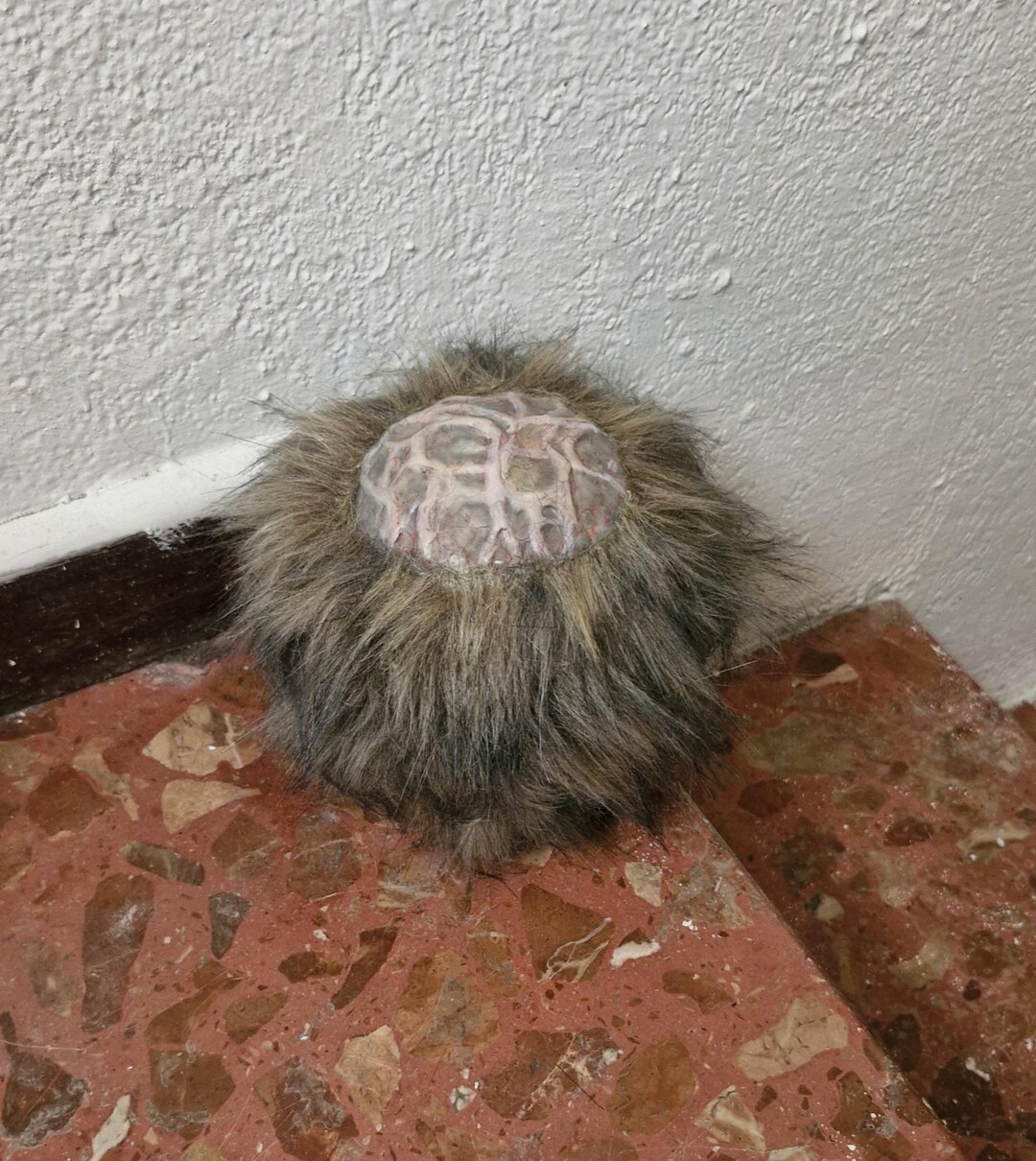 Bald Critter Ball - Etsy