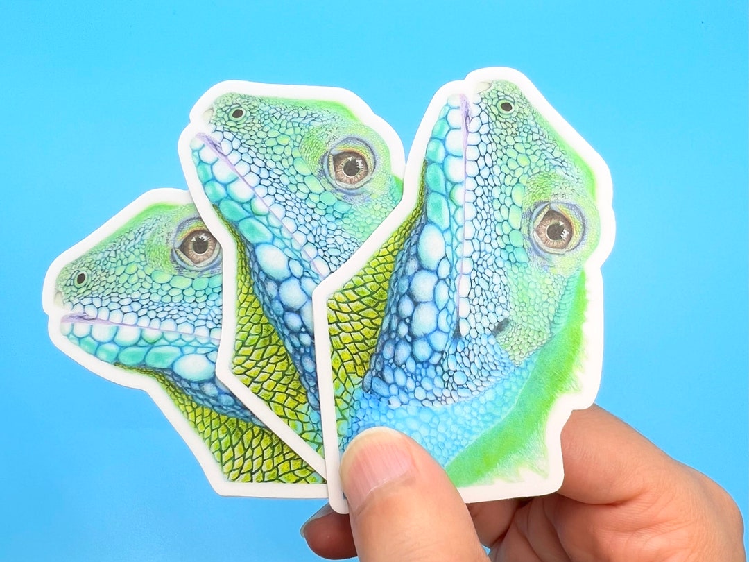 Chinese Water Dragon Lizard Stickers Pack of 3 3 X 2 Inch Reptile ...