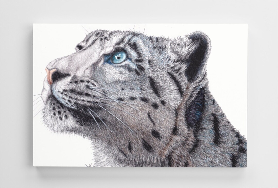 Snow Leopard Fine Art Print on Canvas Multiple Sizes Available - Etsy