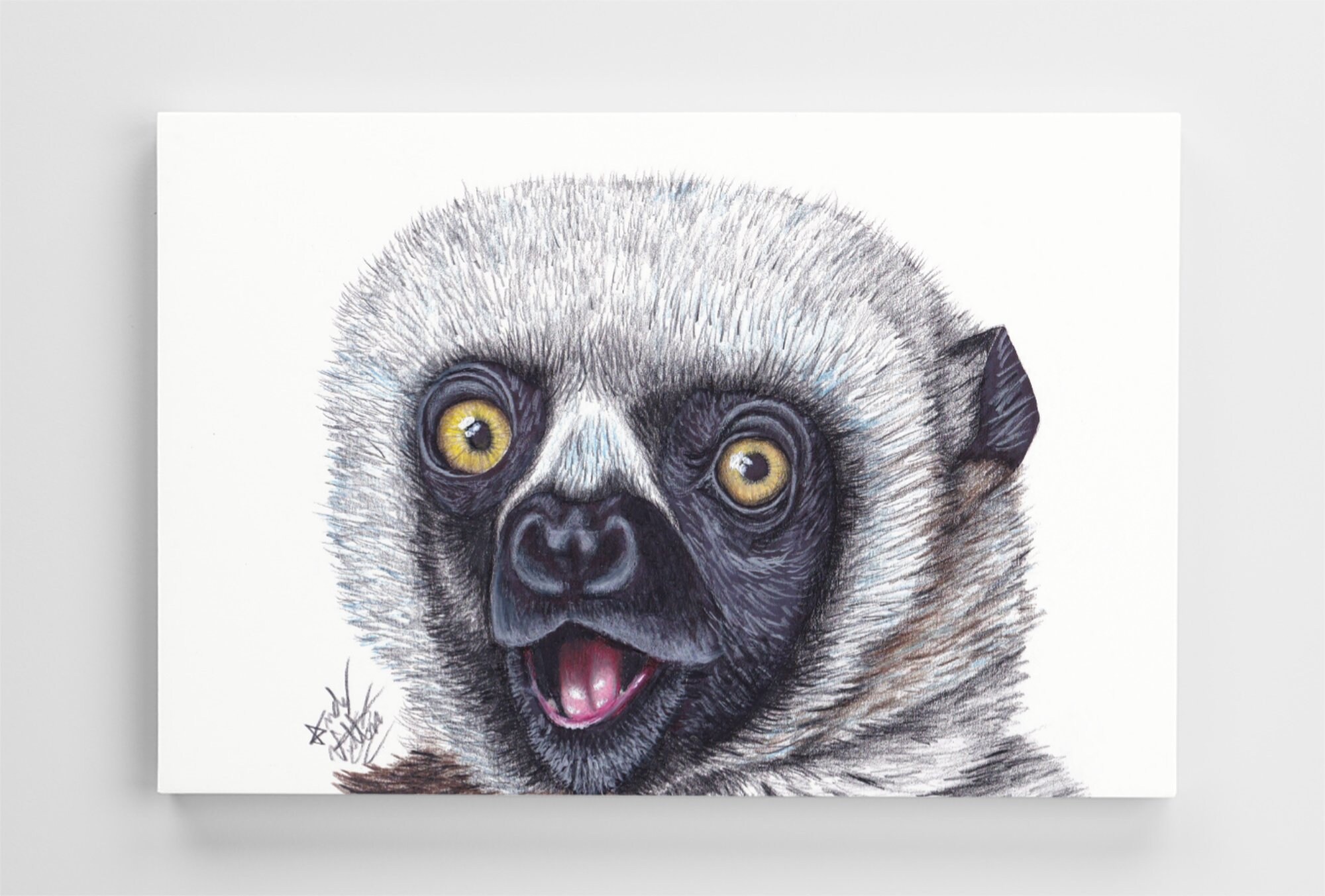 Sifaka Lemur Drawing
